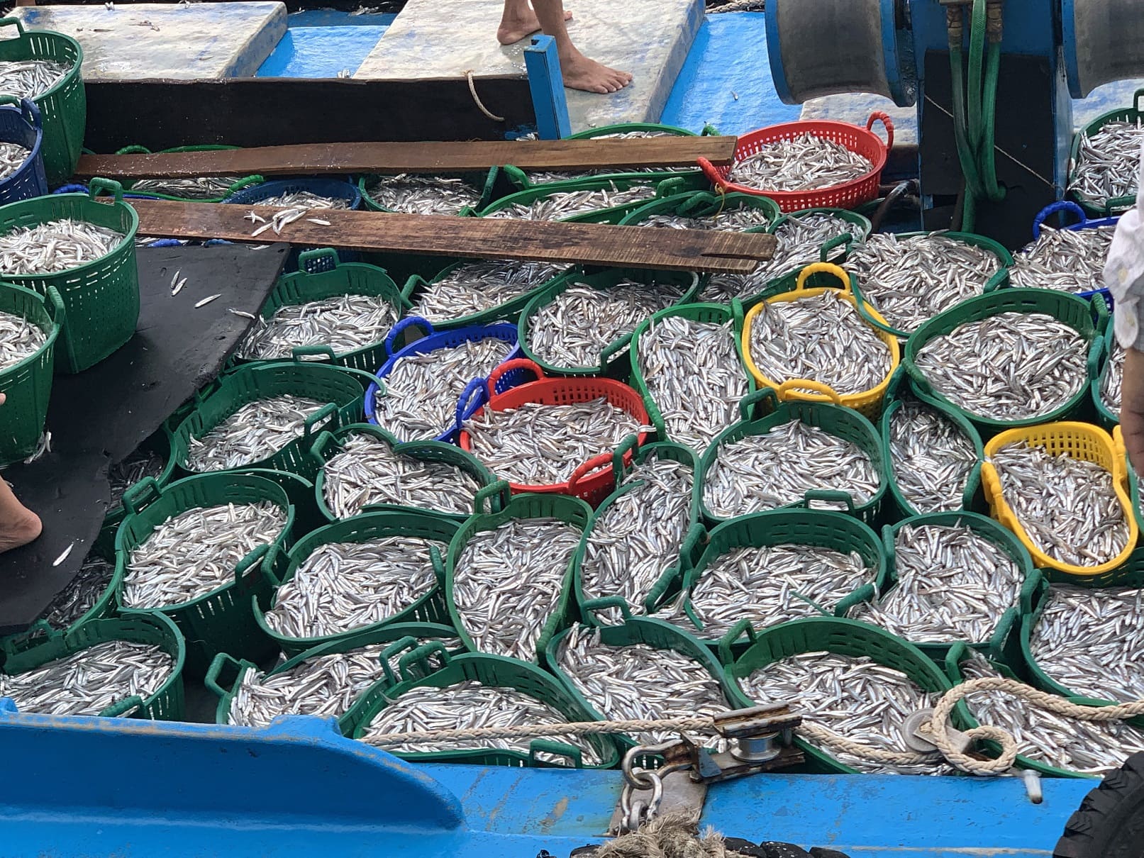 Ordinary Fish Sauce - Nước mắm liên thành